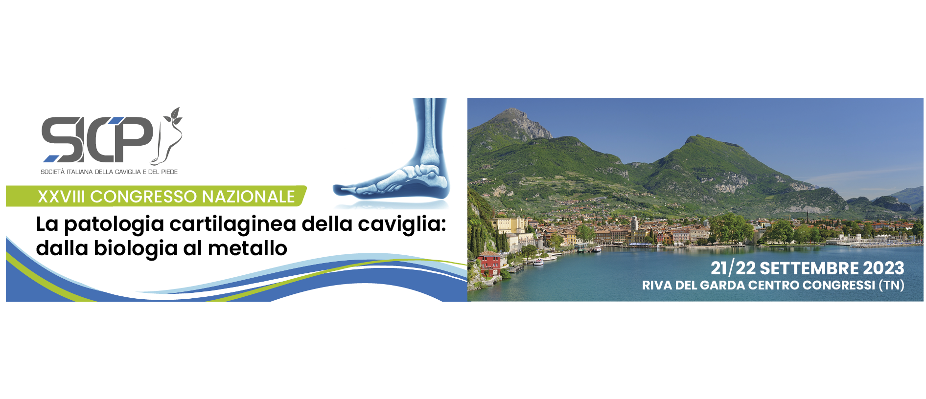 XXXVIII CONGRESSO NAZIONALE SICP – La patologia cartilaginea della ...